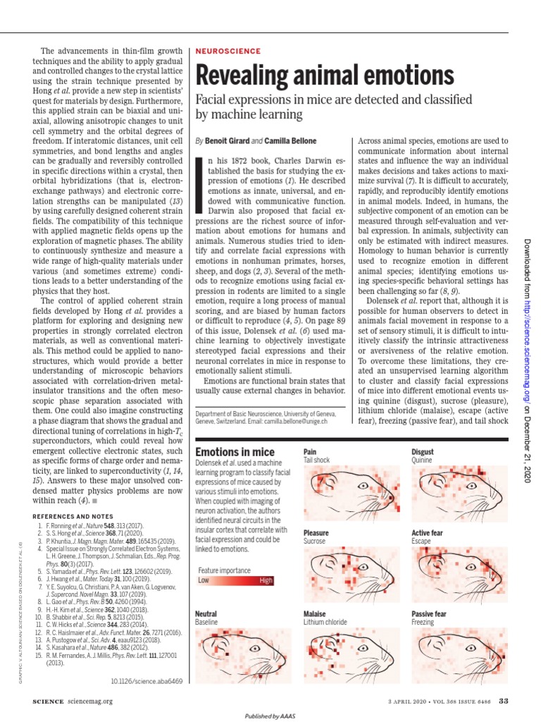 Revealing Animal Emotions: Facial Expressions in Mice Are Detected and ...