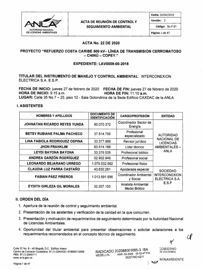 Acta 22 de 2020. - ANLA - Oralidad - Seguimiento | PDF