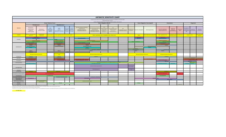 2024 Antibiotic Sensitivity Chart | PDF | Gram Negative Bacteria | Beta ...