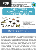 1 Region Superciliar | PDF | Cráneo | Anatomía humana