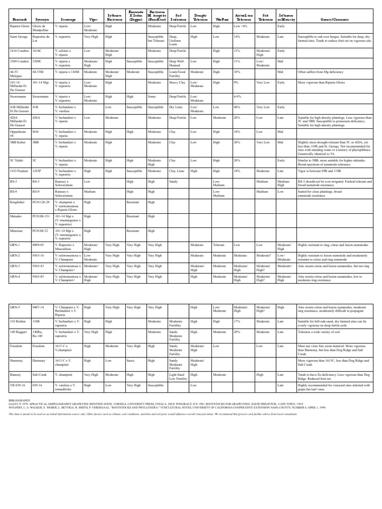 Rootstock Guide | PDF | Grape | Plants