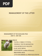 Pig Medication & Vaccination Guide | PDF