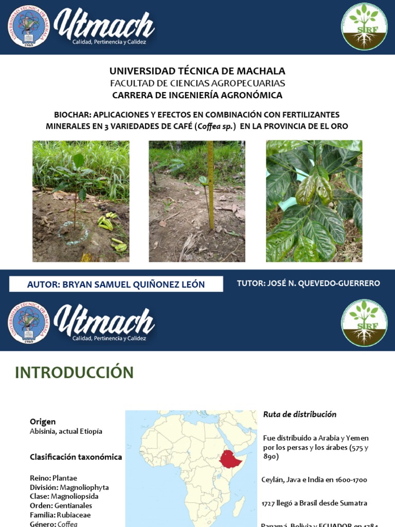 Biochar en 3 Variedades de Café | Descargar gratis PDF | café | Agricultura