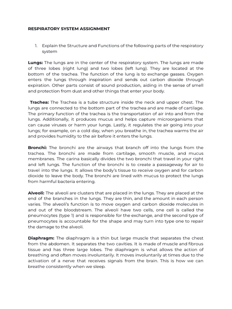 Respiratory System Assignment | Download Free PDF | Lung | Respiratory ...