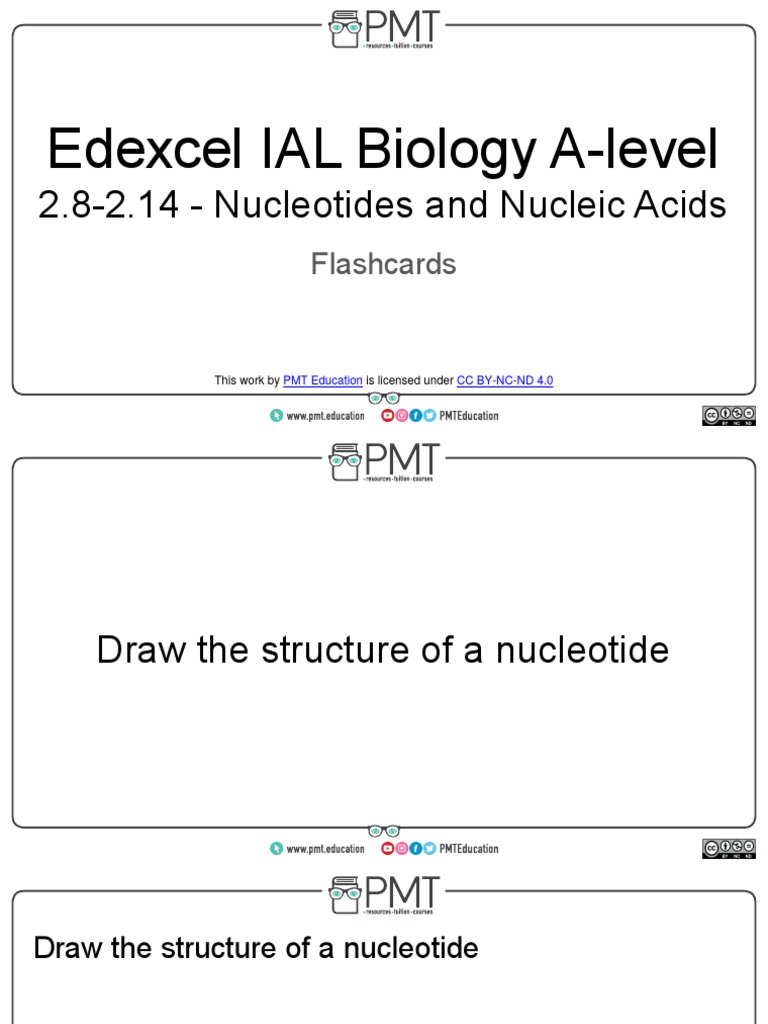 Flashcards - Topic 2.8-2.14 Nucleotides and Nucleic Acids - Edexcel IAL ...