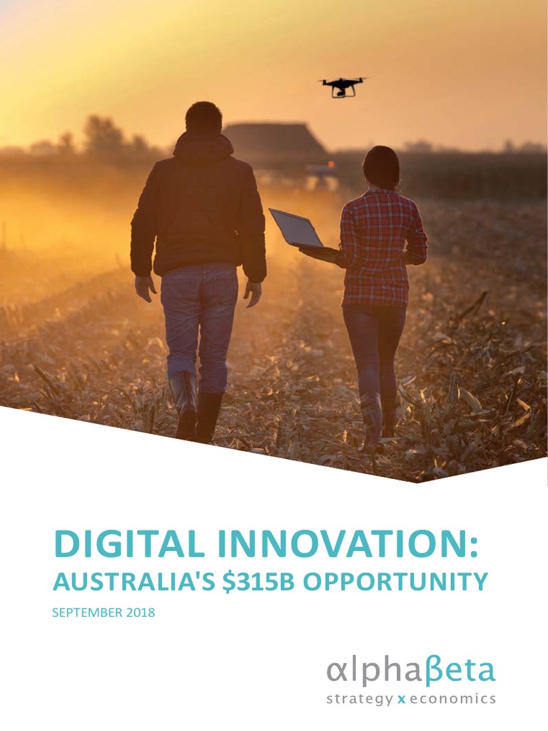 Digital Innovation Report | PDF | Innovation | Economic Growth