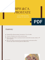 Prostate Fossa Contouring Guide | PDF | Prostate | Urinary Bladder