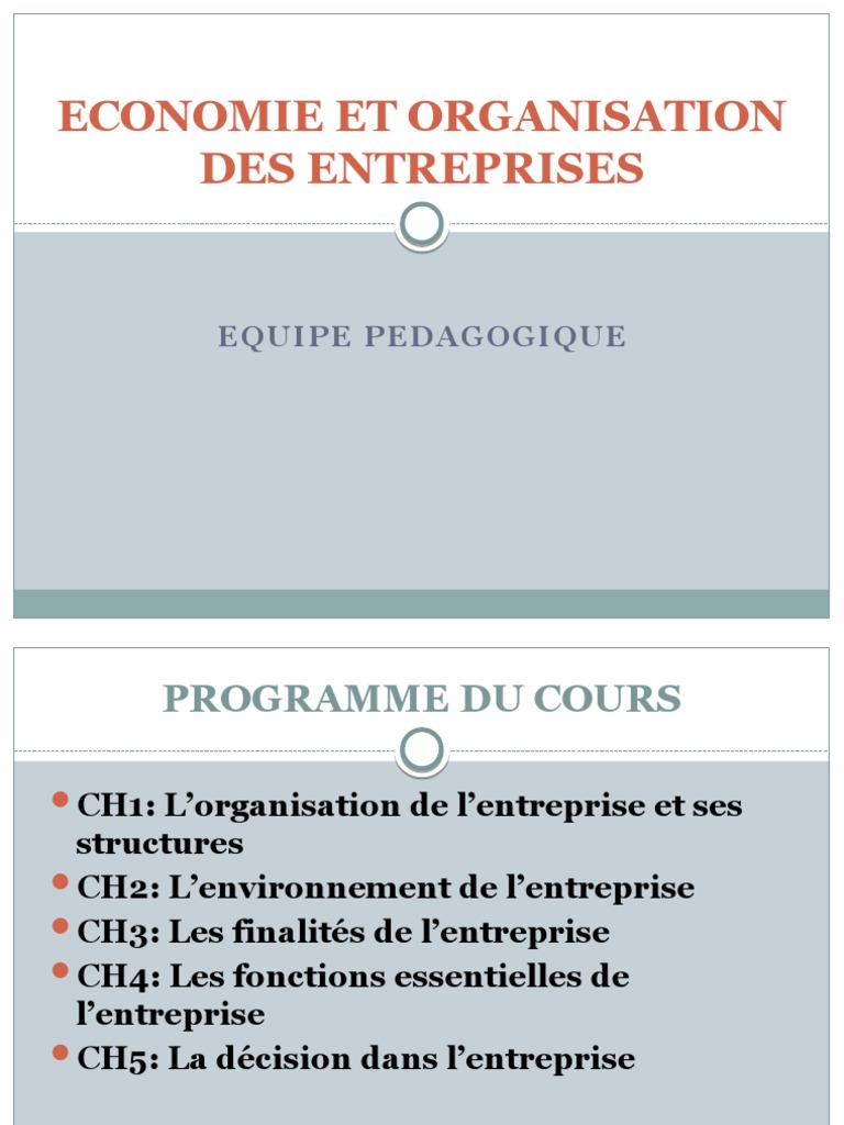 Cours Eoe | PDF | Environnement naturel | Capital (Économie)