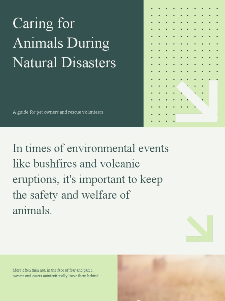Caring For Animals During Natural Disasters | PDF | Pet | Natural Disasters