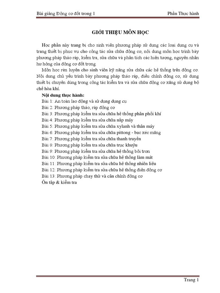 ND - Phan BG Thuc Hanh DCDT 1 | PDF