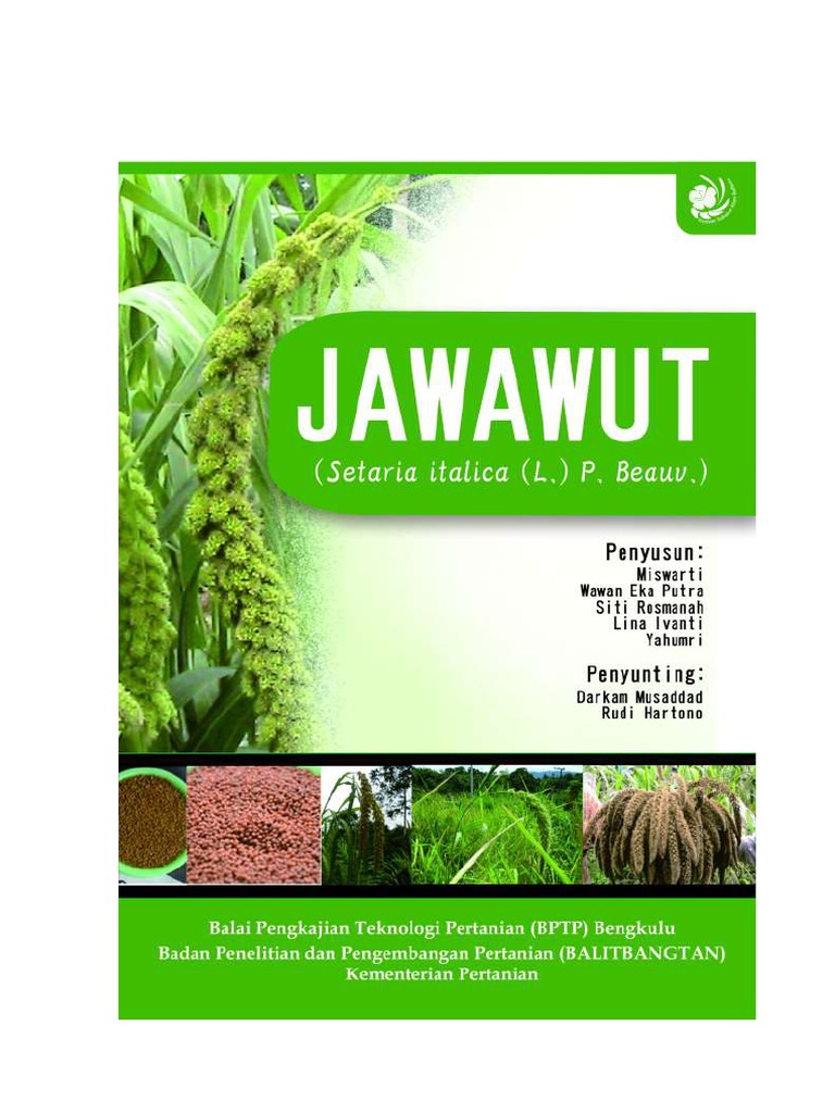 Buku Jawawut | PDF | Griya & Taman