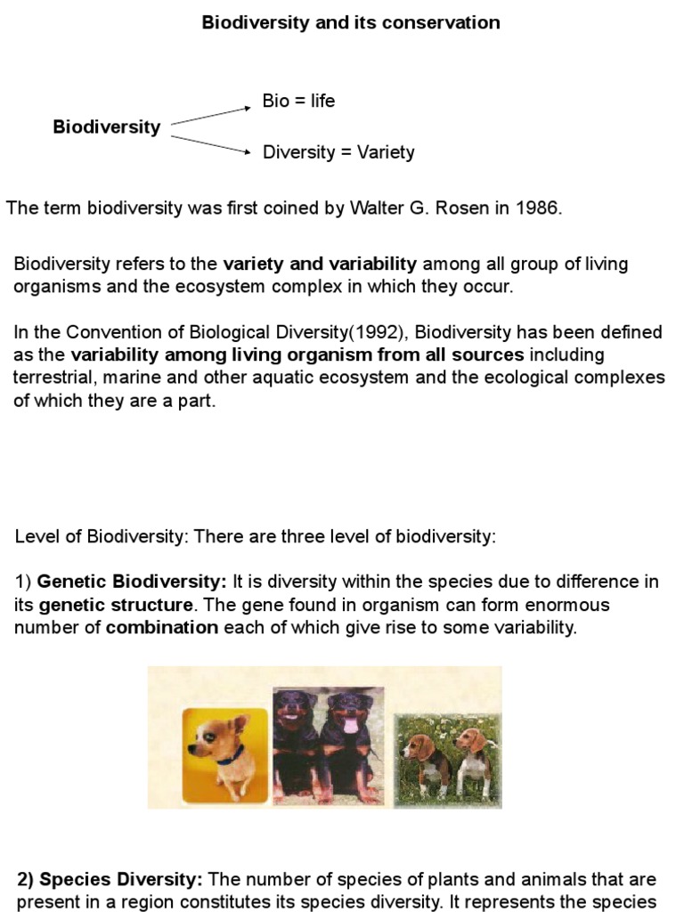 Biodiversity | PDF | Biodiversity | Endangered Species