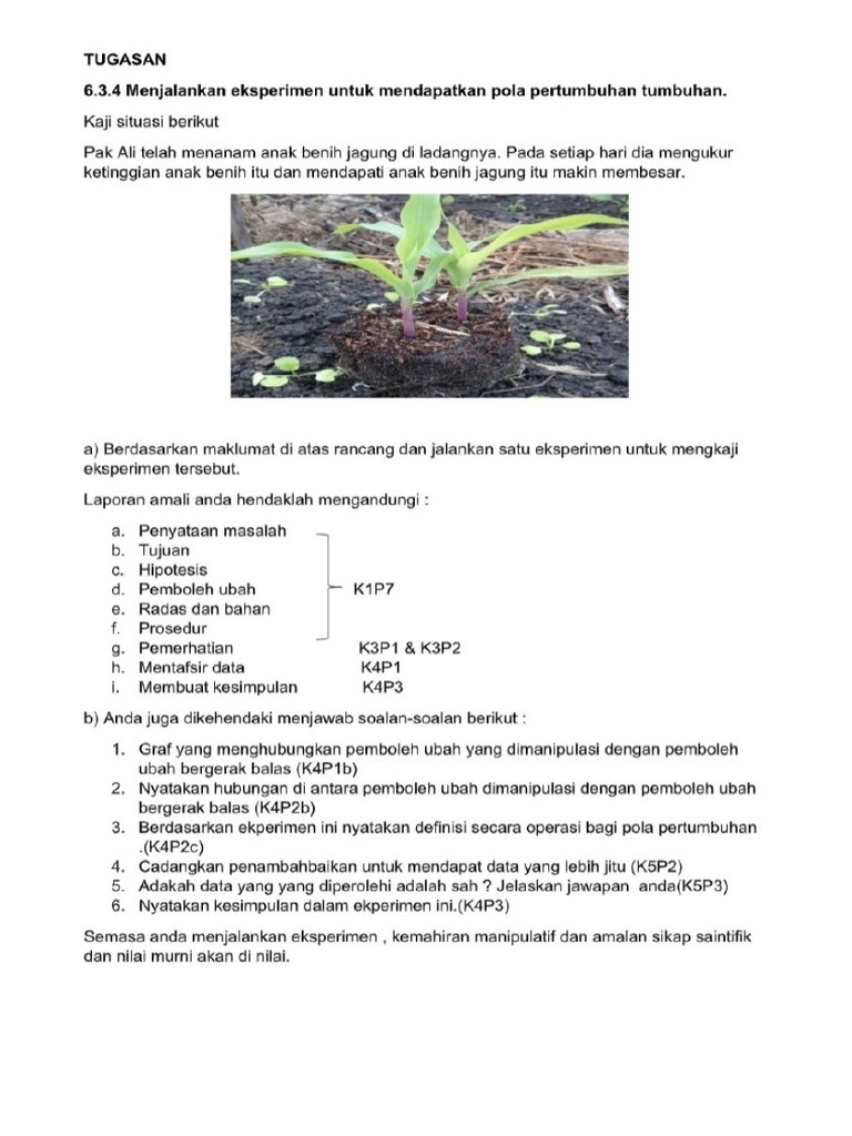 Peka Sains 4 | PDF