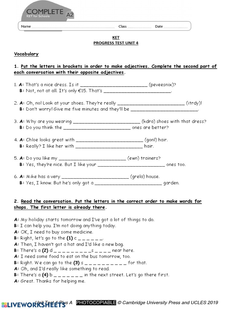 Unit Test 4 Plus A: Photocopiable | PDF