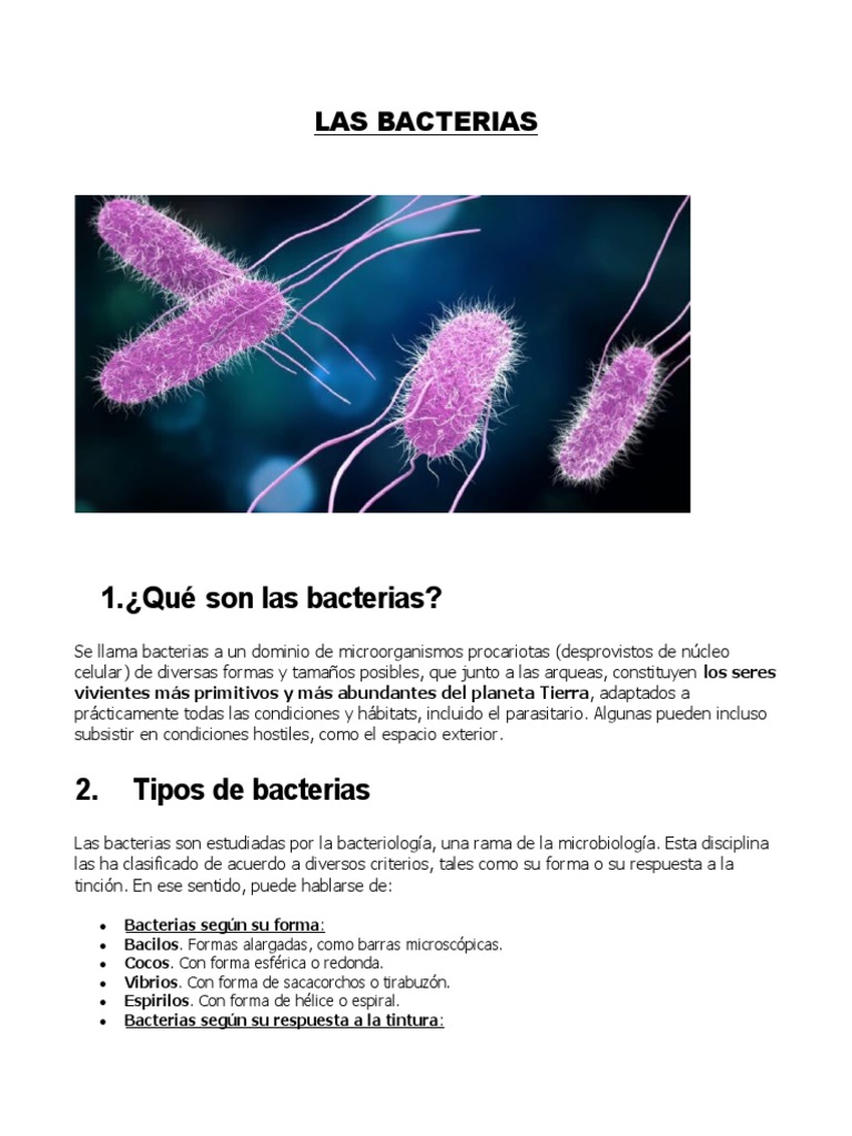 Tipos y formas de bacterias | PDF