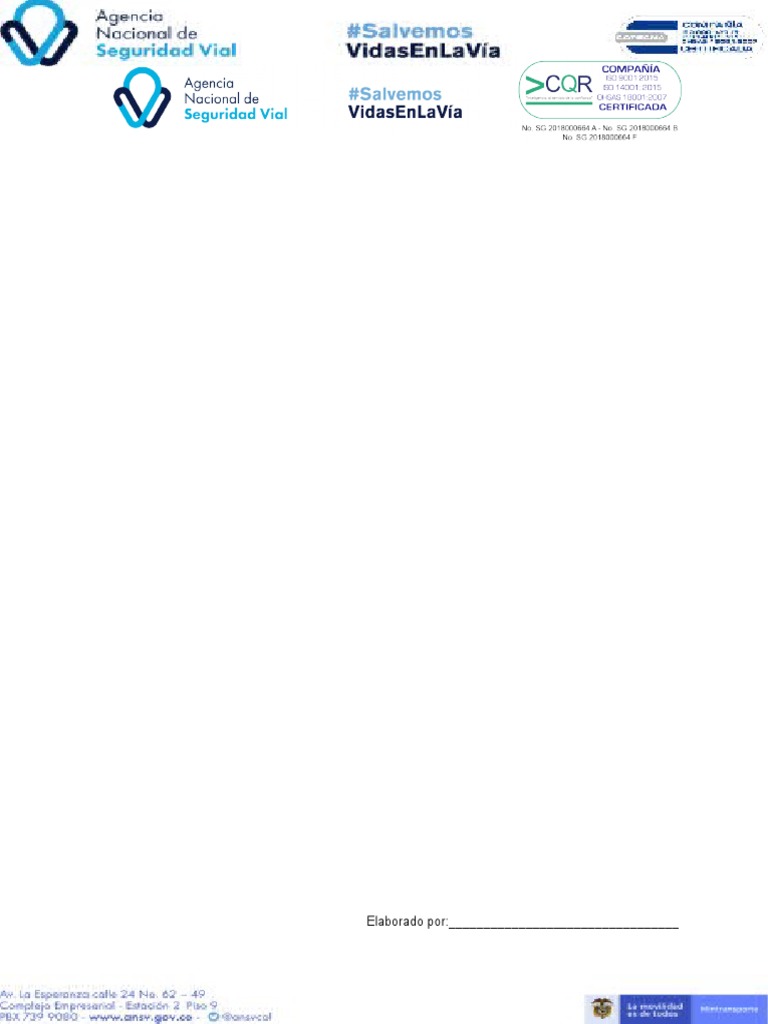 Formato Lecciones Aprendidas PESV | PDF