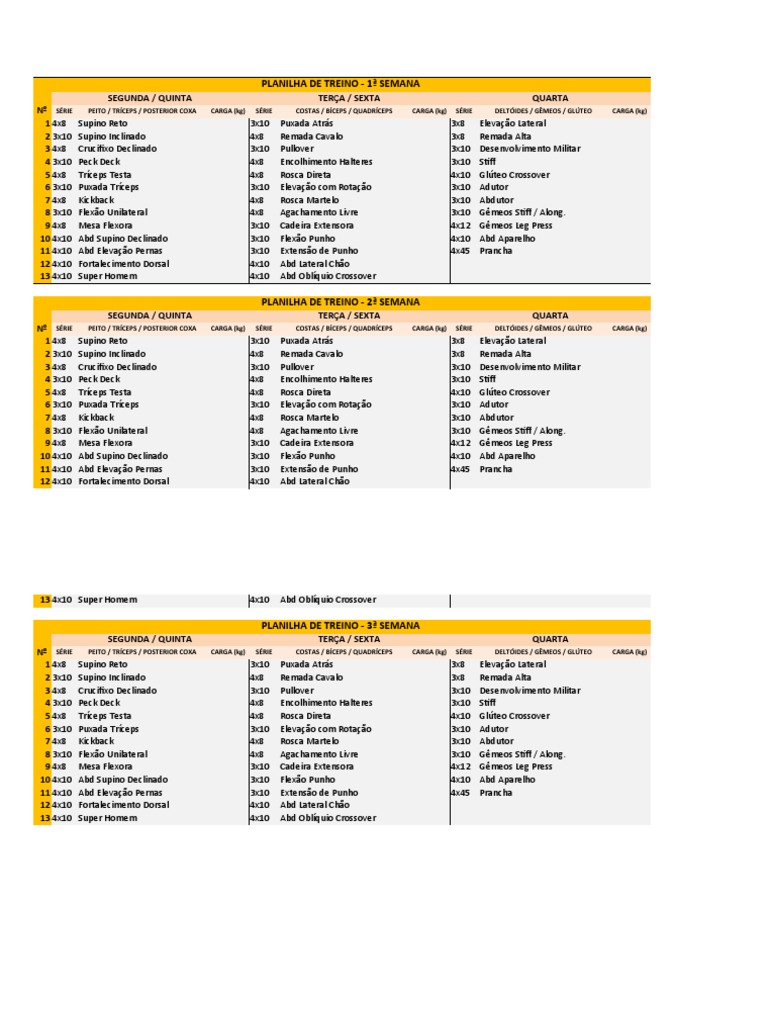 Planilha Treino | PDF | Musculação | Anatomia humana
