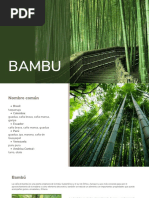 Flora y Fauna de La Sierra Peruana | PDF | Andes
