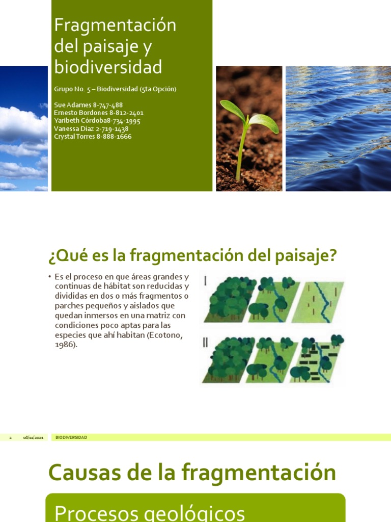 Fragmentación Del Paisaje y Biodiversidad | PDF | Biodiversidad ...