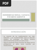 Fármacos Nefrotóxicos y su Manejo | PDF | Tratamientos médicos | Medicina