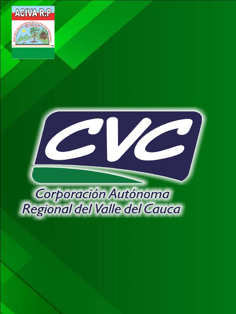 Cartilla CVC | PDF