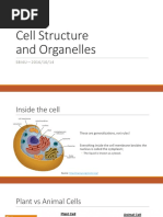 Cell Division Lab Report | PDF | Mitosis | Cell (Biology)