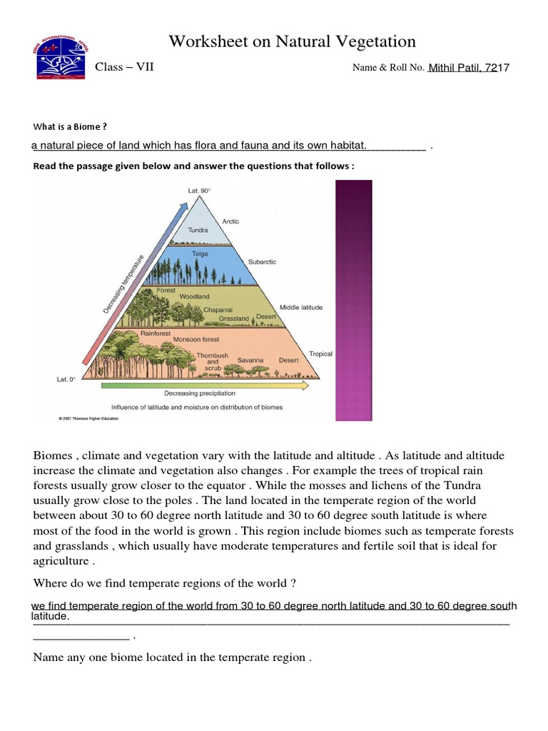 Natural Vegetation - Worksheet | PDF