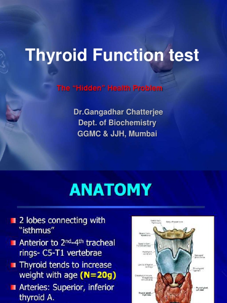 Understanding Thyroid Function Tests Insights Into The Hidden Health