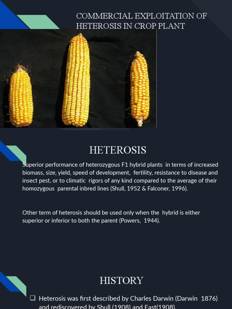 Exploiting Heterosis in Crop Breeding | PDF | Dominance (Genetics ...