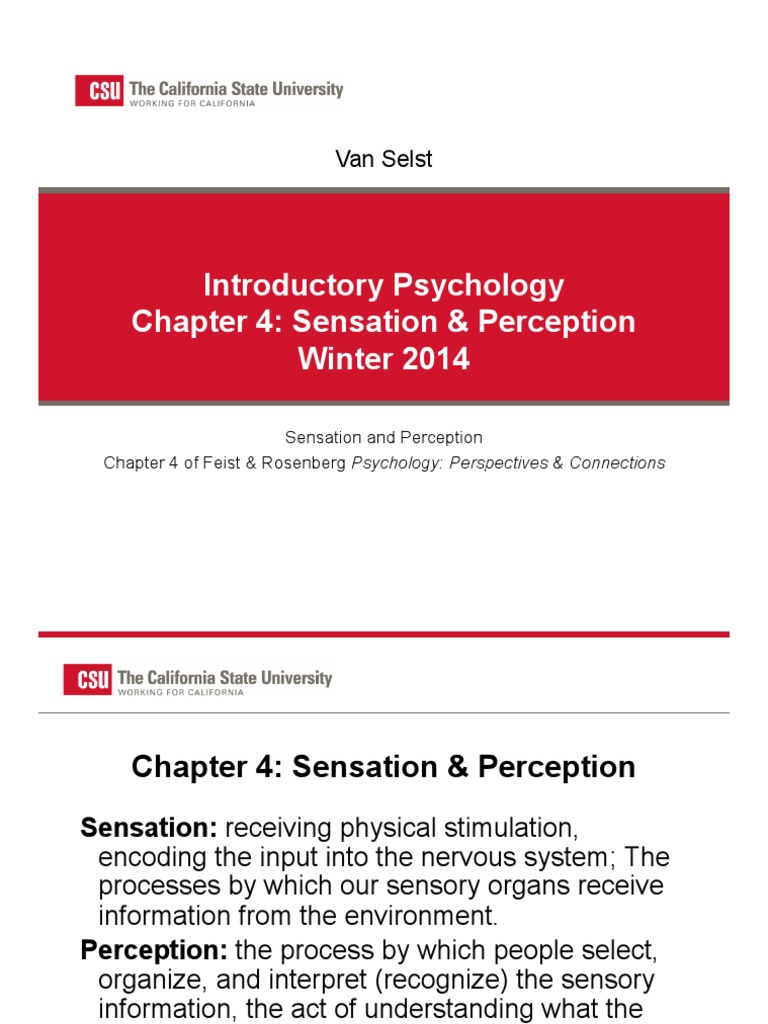 Chapter 4 Sensation Perception | PDF