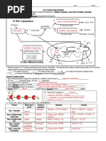 BioMan Biology | PDF | Mitosis | Cell (Biology)
