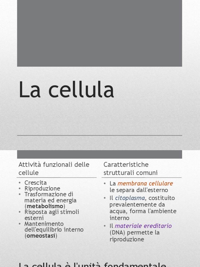 3 La Cellula | PDF