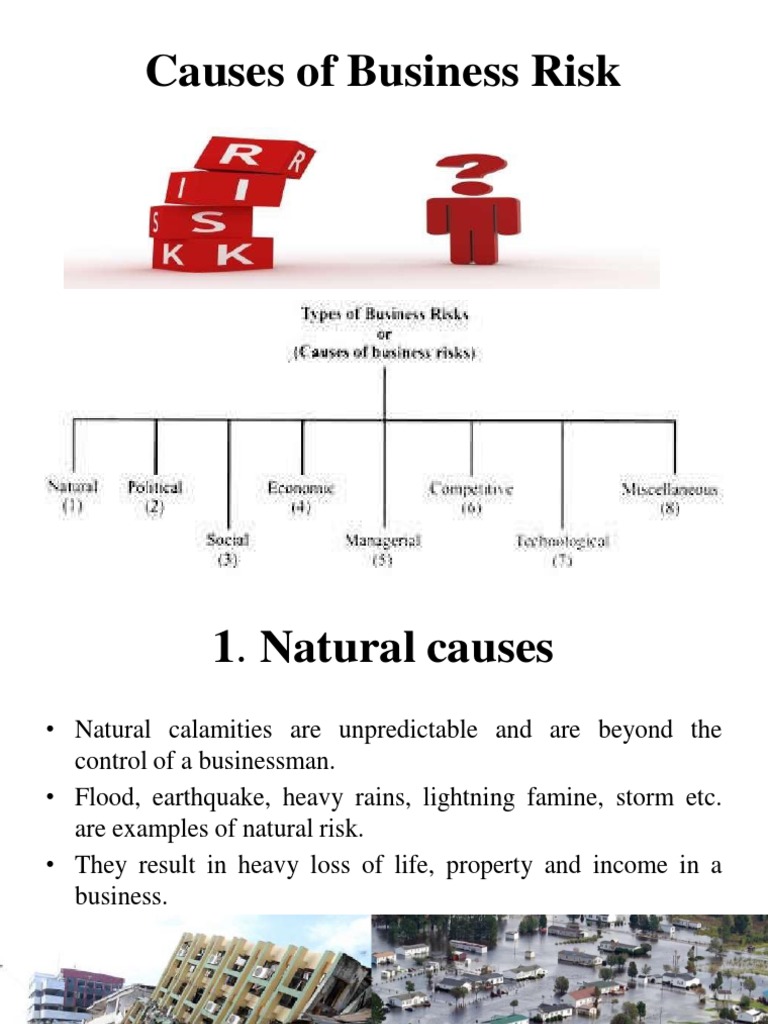 Causes of Business Risk | PDF