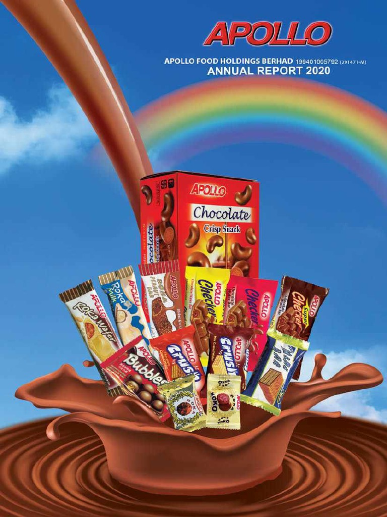 Apollo Food 2020 Annual Report | PDF | Audit | Internal Control