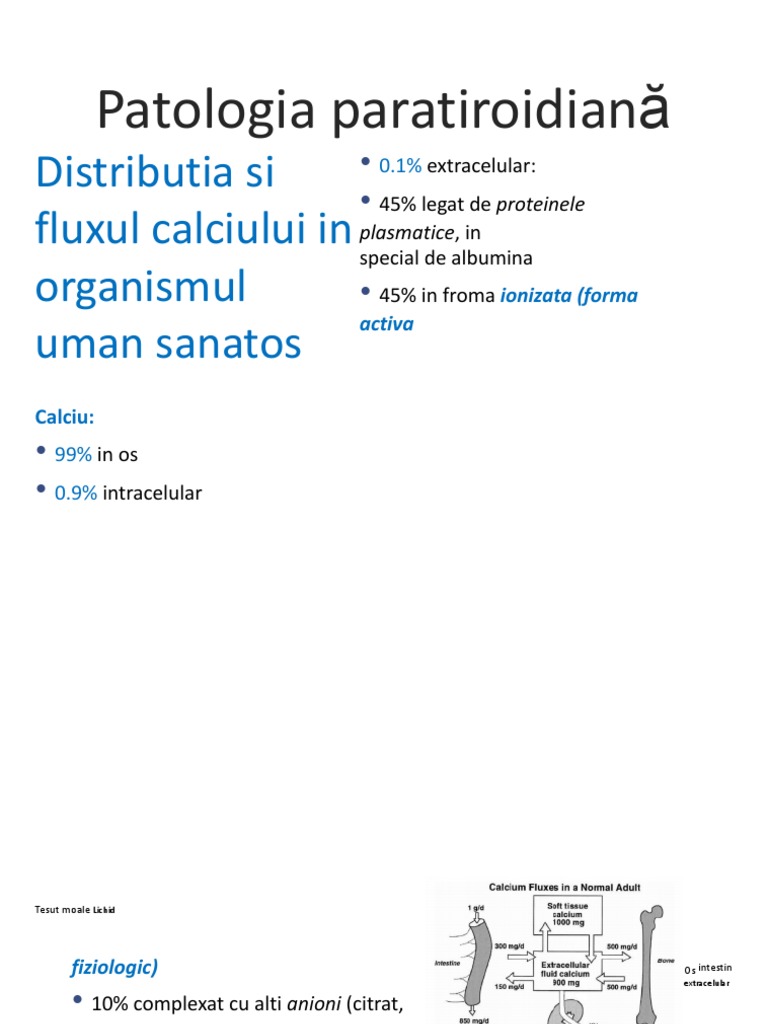 Curs 5. Paratiroide Si Osteoporoza | PDF Curs 5. Paratiroide Si Osteoporoza | PDF