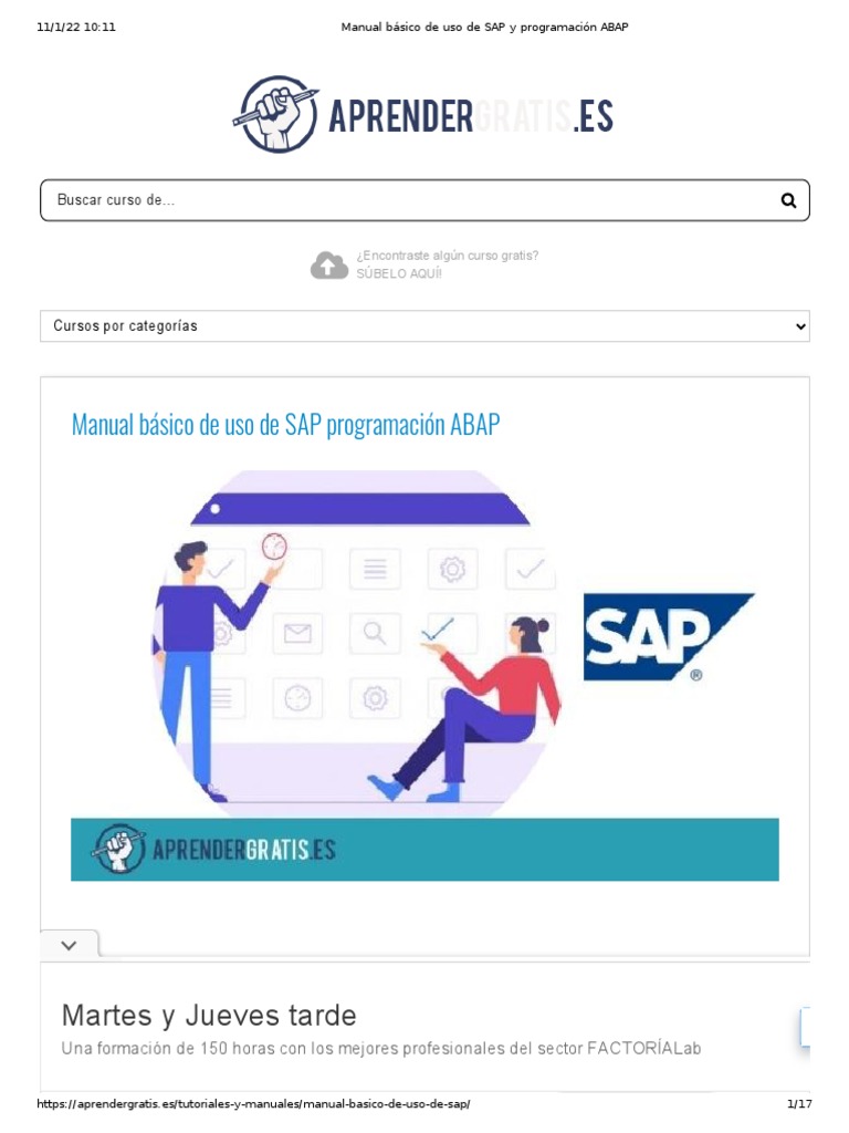 Manual Básico de Uso de SAP y Programación ABAP | PDF | Informática ...