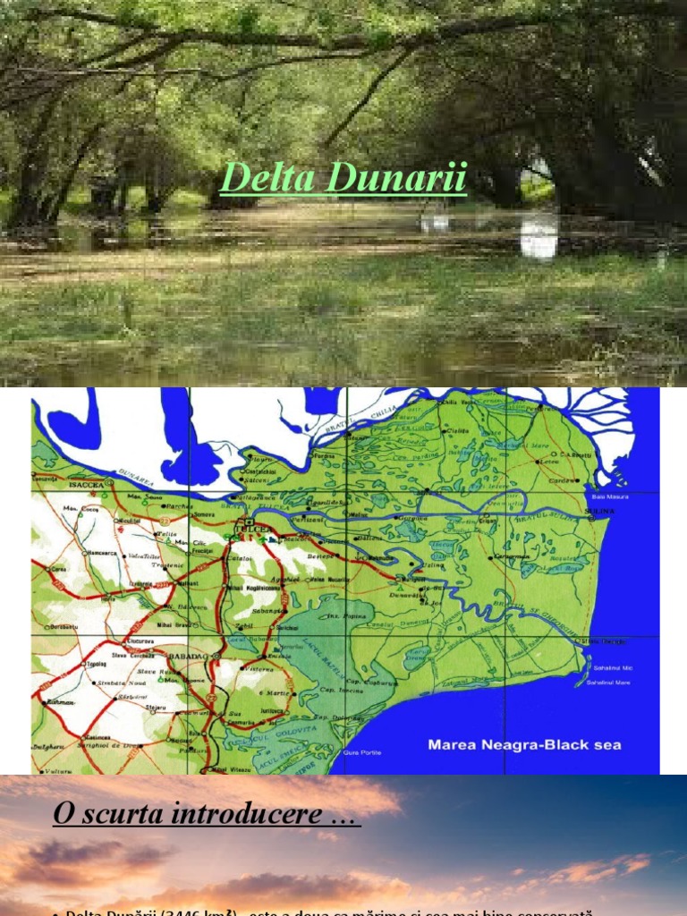 Delta Dunarii | PDF