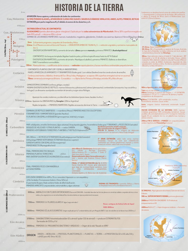 Fósiles guía en la historia de la Tierra | PDF | Ciencias de la Tierra ...