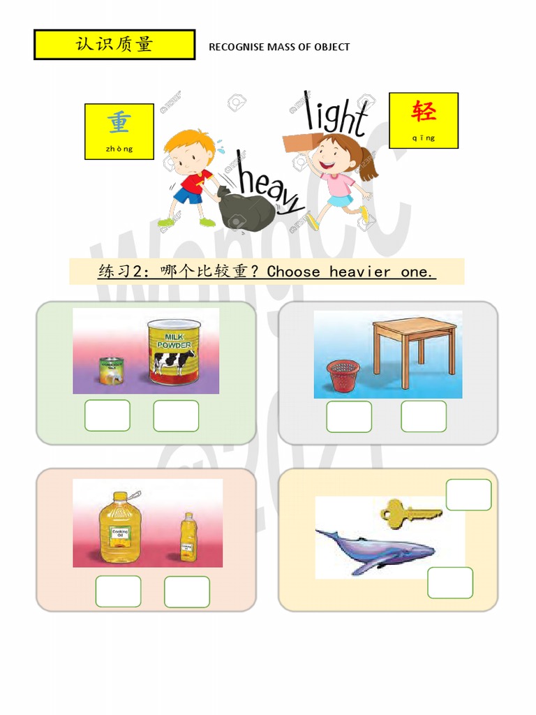 MG11 MT 220101 | PDF