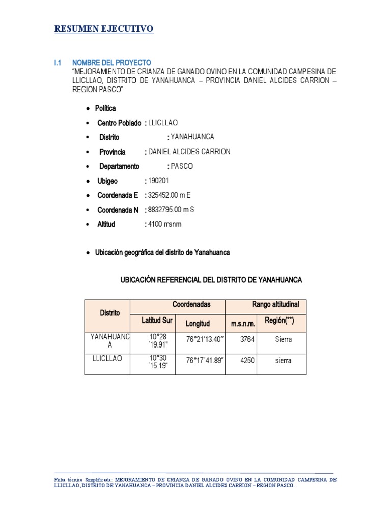 Resumen Ejecutivo Ficha Invierte Pe. | PDF | Oveja | Mercado (economía)