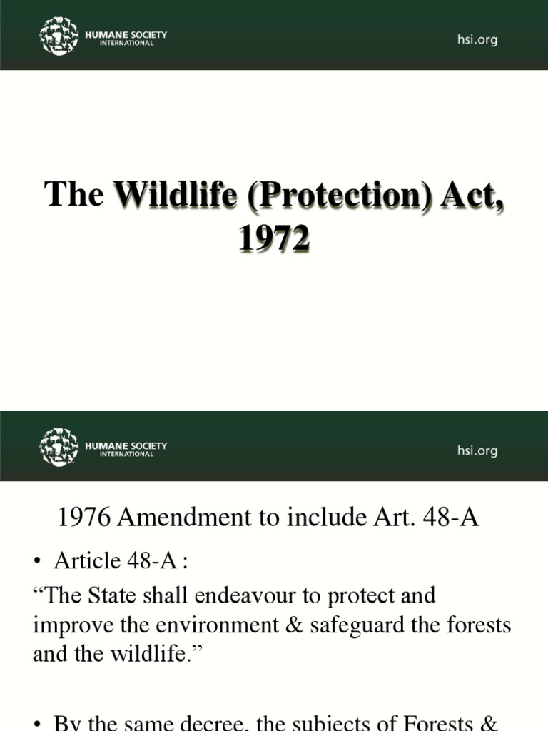 Overview of the Wildlife Protection Act | PDF | Arrest | Justice