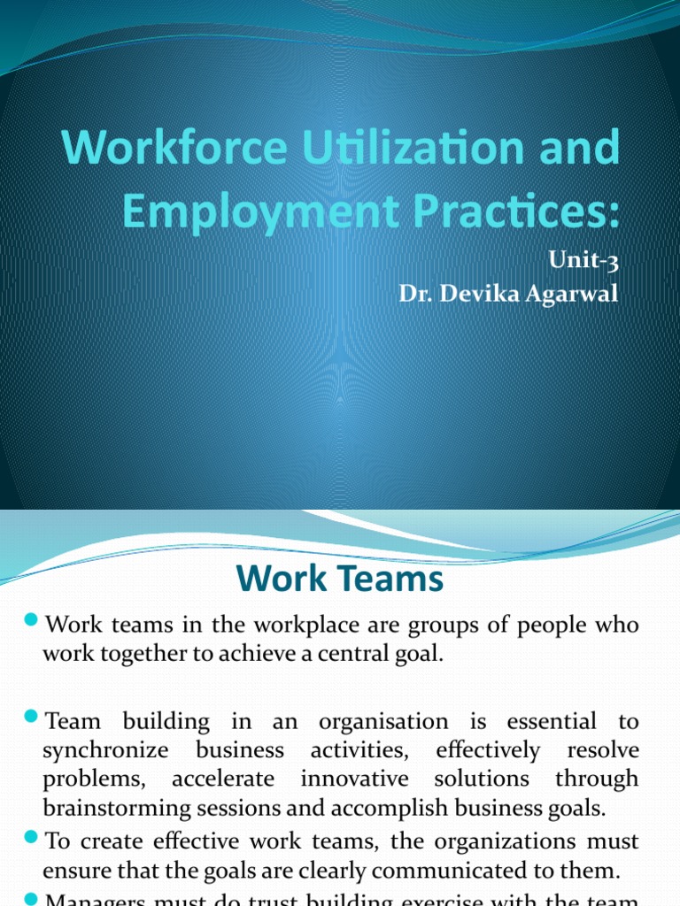 Workforce Utilization and Employment Practices Part - 2 | PDF ...