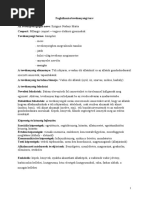 Kiscsoportos Tervezet | PDF