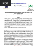 Grow Out Test: Presented by Kiran Dasanal | PDF | Sowing | Genetics