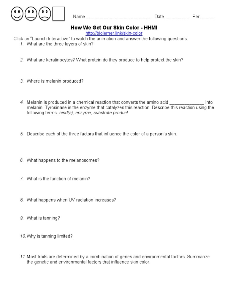How We Get Our Skin Color HHMI 2016 PDF