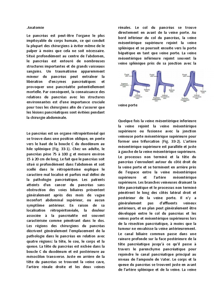 Pancreas | PDF | Pancréas | Insuline
