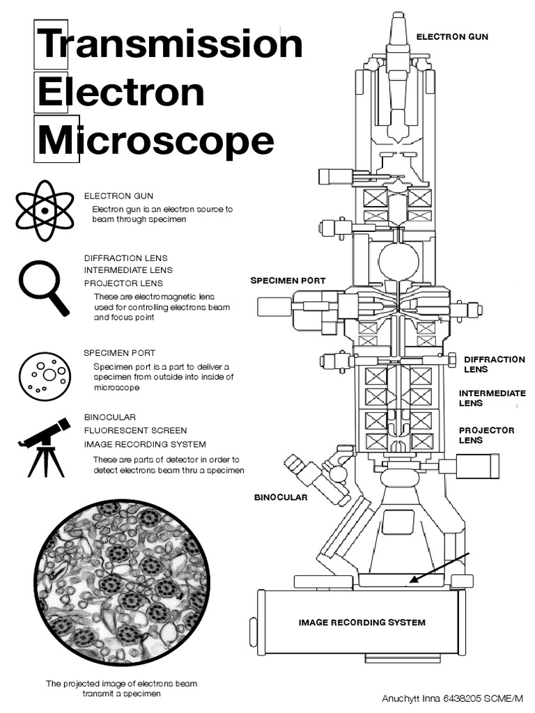 TEM Infographic | PDF | Electron Microscope | Atomic