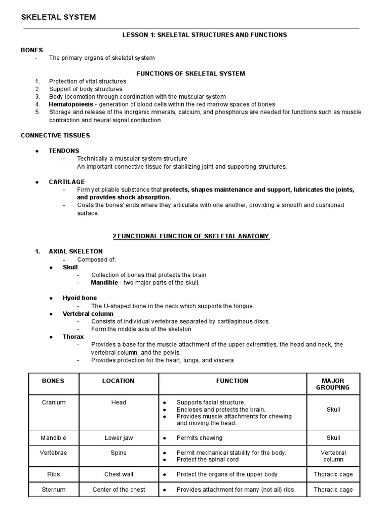 Reviewer For Skeletal System | PDF | Bone | Skeleton