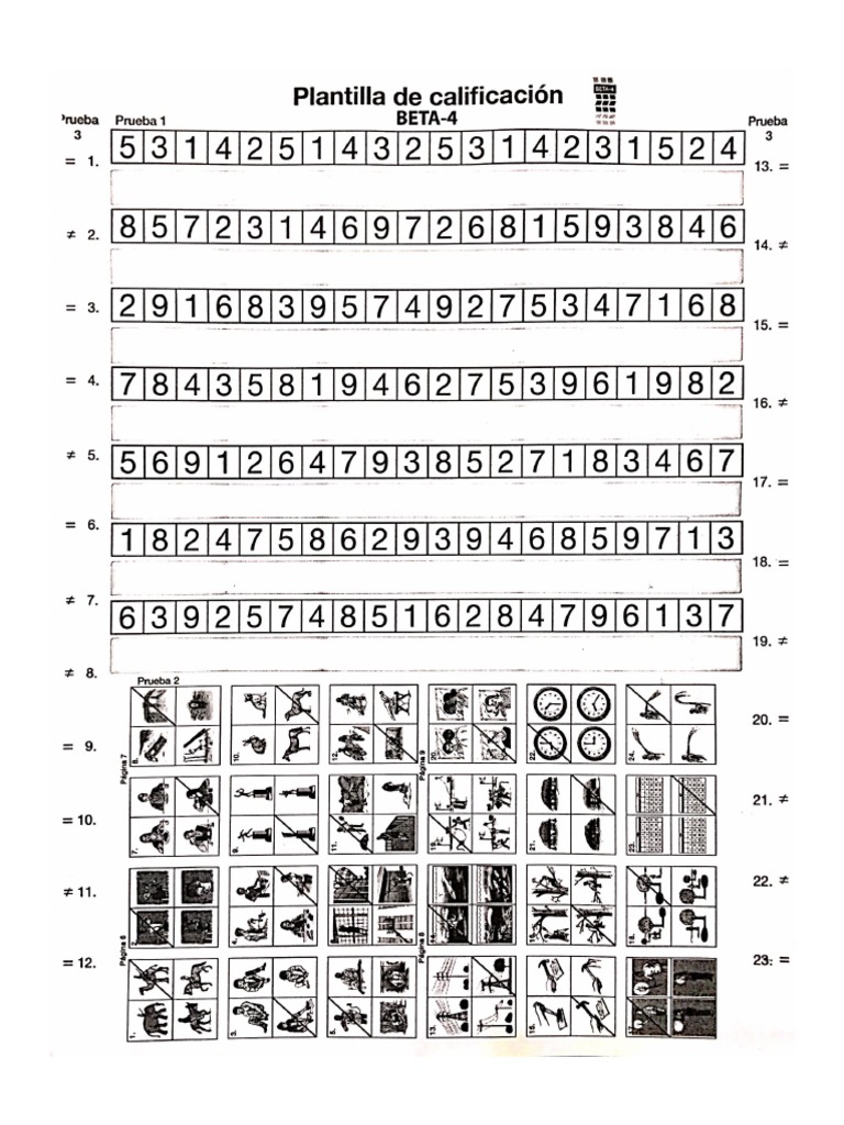 Beta IV Respuestas | PDF