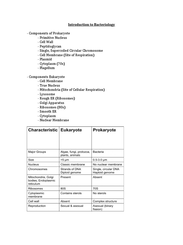 Bacteriology Basics & Structures | PDF | Bacteria | Cell (Biology)